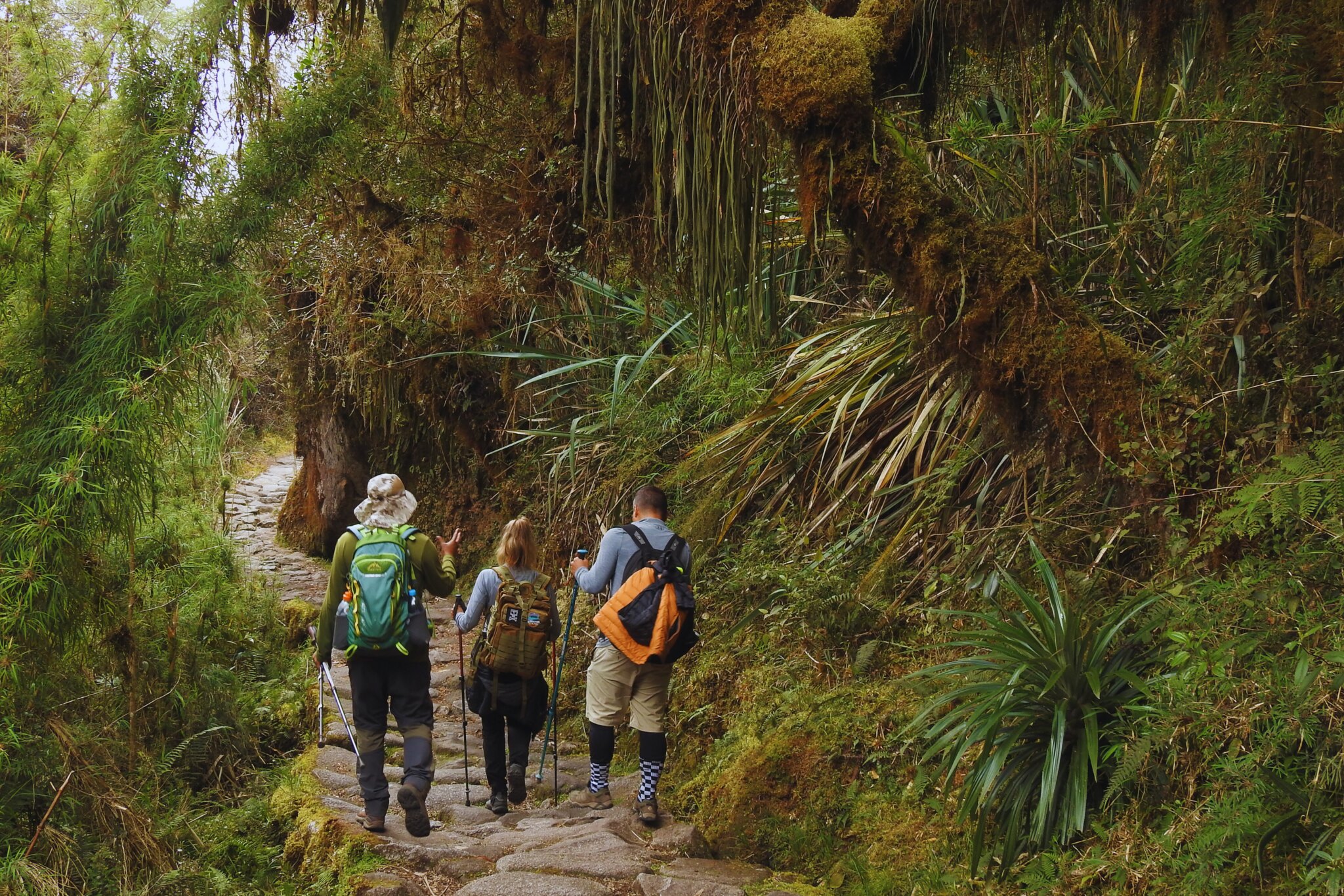 Everything you should know about the inca trail to machu picchu
